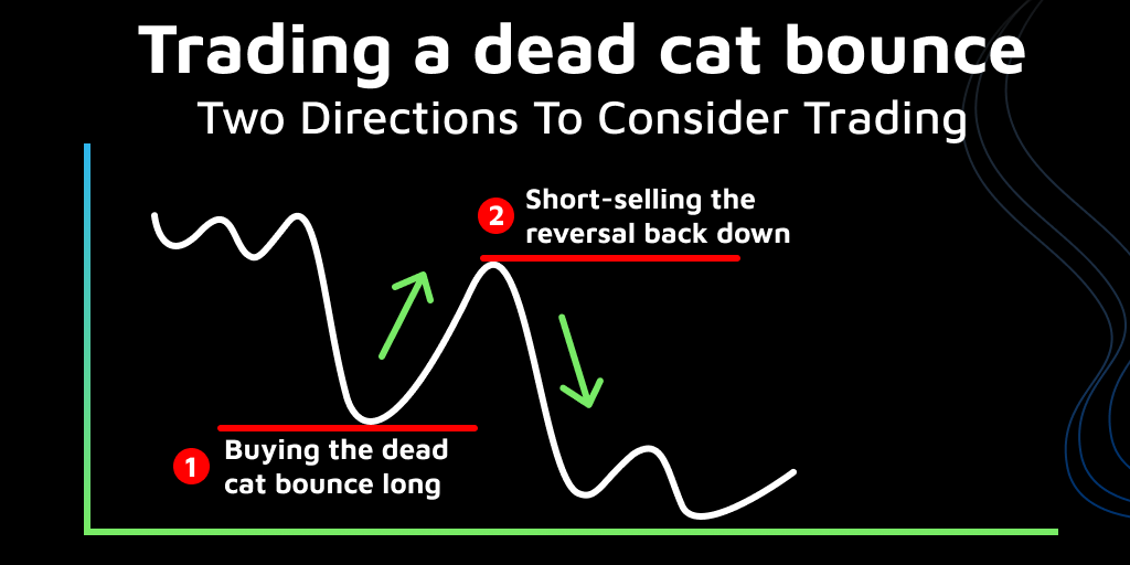 What is Dead Cat Bounce in Investing & How It Works
